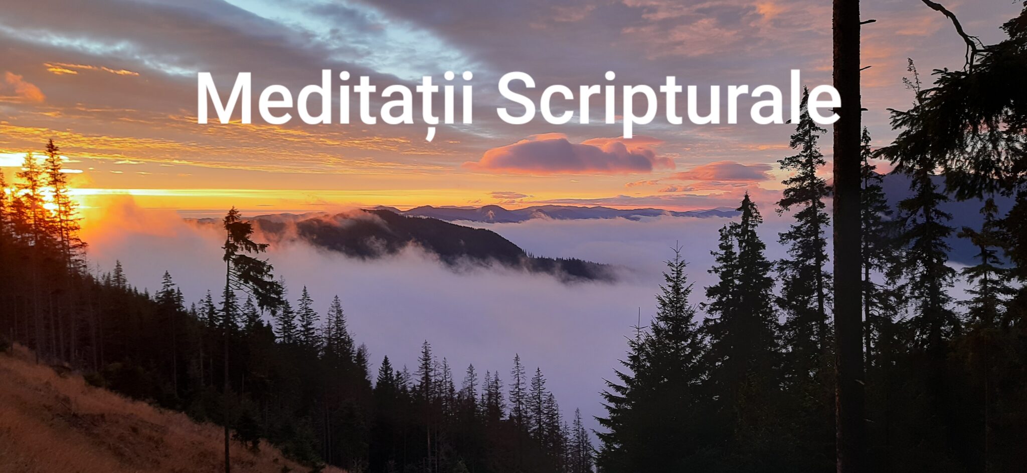 Meditație Joi 26.03.2020 (Beniamin Sandulachi) – Bcde Luncușoara